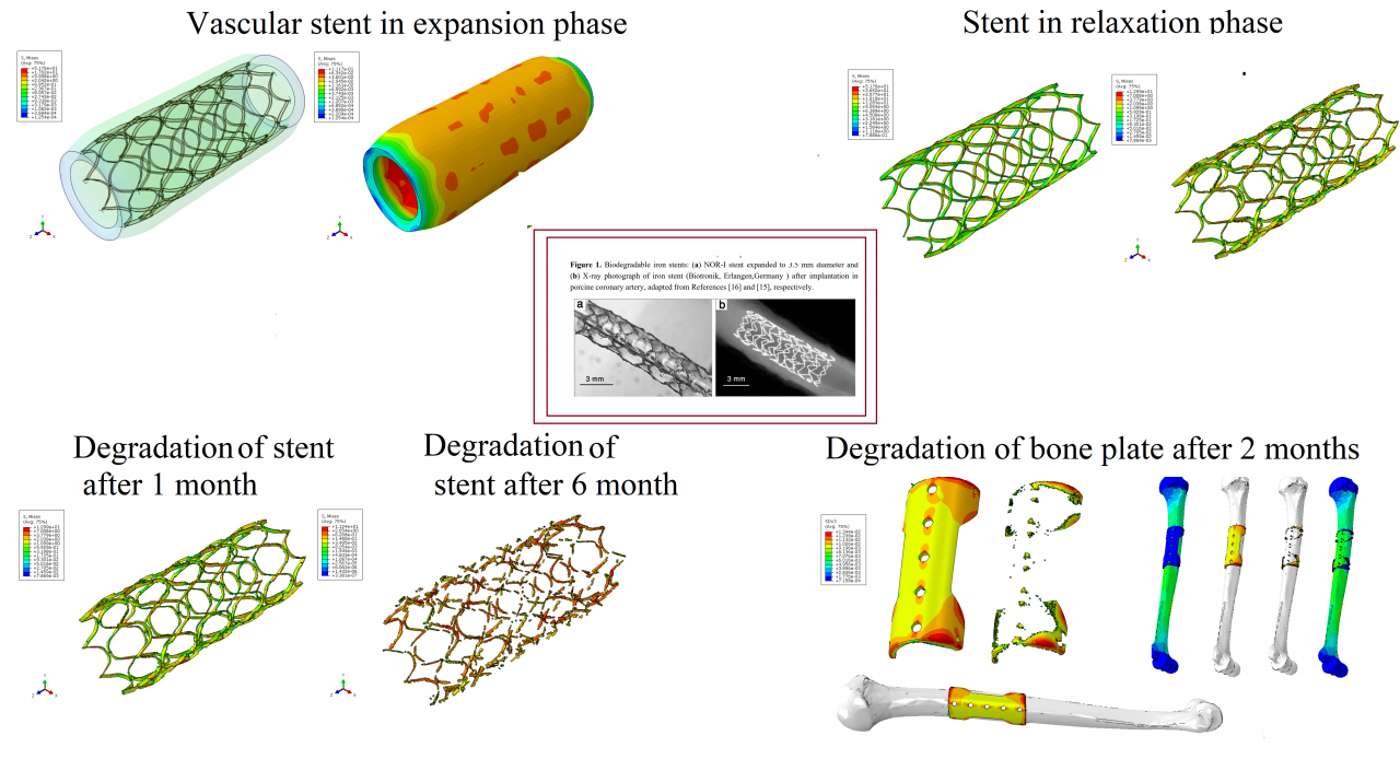 Advancing Degradation Modeling in Biodegradable PLA Bone Plates and ...